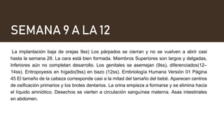 EMBRIOLOGIA ESTUDIANTES DE ENFERMERIA LICENCIATURA | PPTX