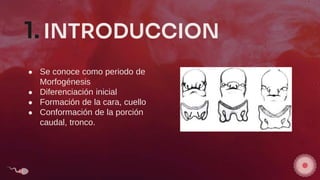EMBRIOLOGIA 9. Morfogenesis Dr. Jorge (1).pptx