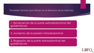 EMBRIOLOGIA APARATO UROGENITAL cirugiua pediatrica.pptx
