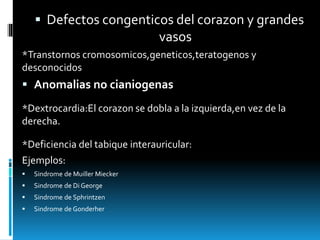 Malformaciones congenitas aparato cardiovascular,hematopoyesis | PPT