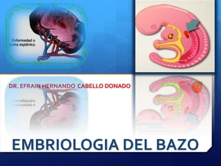 EMBRIOLOGIA DEL APARATO DIGESTIVO - UDES.ppt