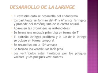 Embriologia del aparato respiratorio | PPT