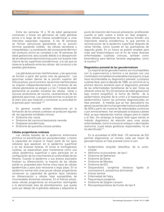 Embriologia de la piel | PDF
