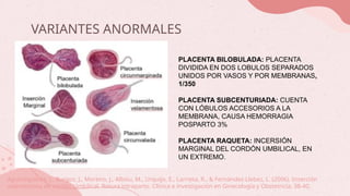 EMBRIOLOGIA DE LA PLACENTACION, PLACENTA | PPTX