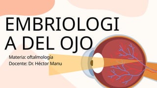 embriologia del ojo y su formacion en el saco gestacional | PPTX