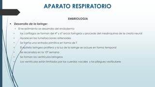 Embriologia del sistema respiratorio | PPTX