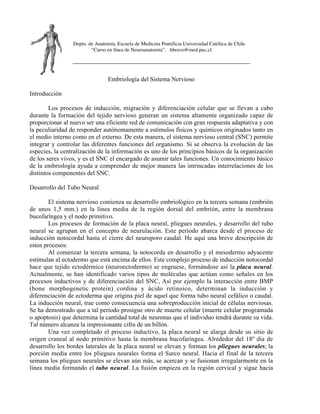 Embriología del Sistema Nervioso | PDF