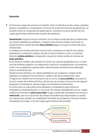 Embriologia desarrollo del sistema nervioso | PDF