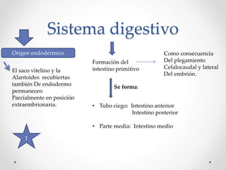 Embriologia de sistema digestivo | PPTX