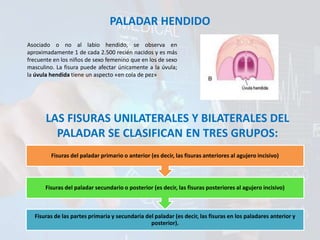 DESARROLLO EMBRIOLOGICO DE LAS CAVIDADES NASALES , DESARROLLO DEL ...