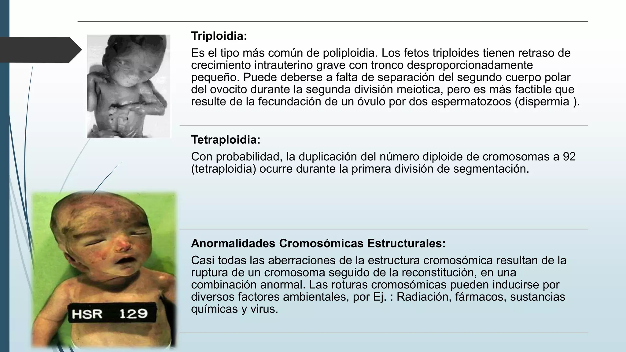 Embriologia forence | PPTX