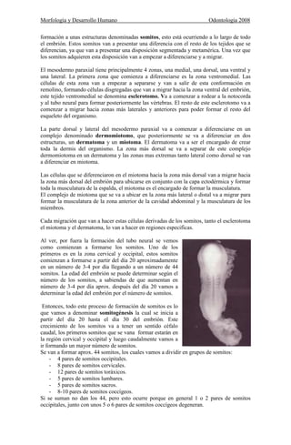 Embriologia general II | DOC