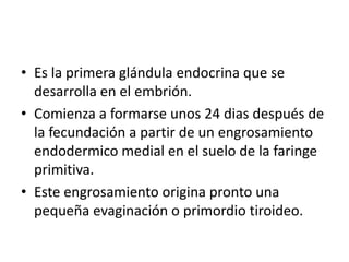 Embriologia glandula tiroides | PPTX