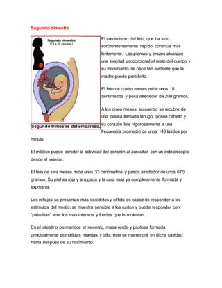 Embriologia humana | DOCX