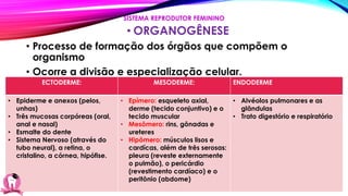 EMBRIOLOGIA HUMANA | PDF