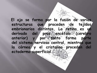 Embriologia ocular | PPTX