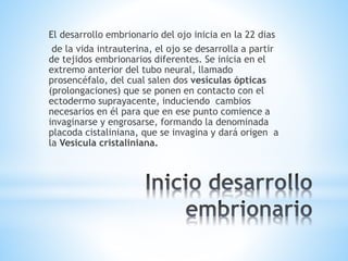 Embriologia ocular | PPTX