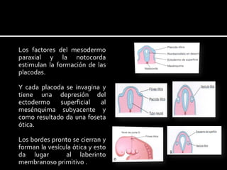 Embriologia oido | PPTX
