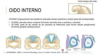 embriologia oido externo y medio, EMBRIOLOGIA | PPTX
