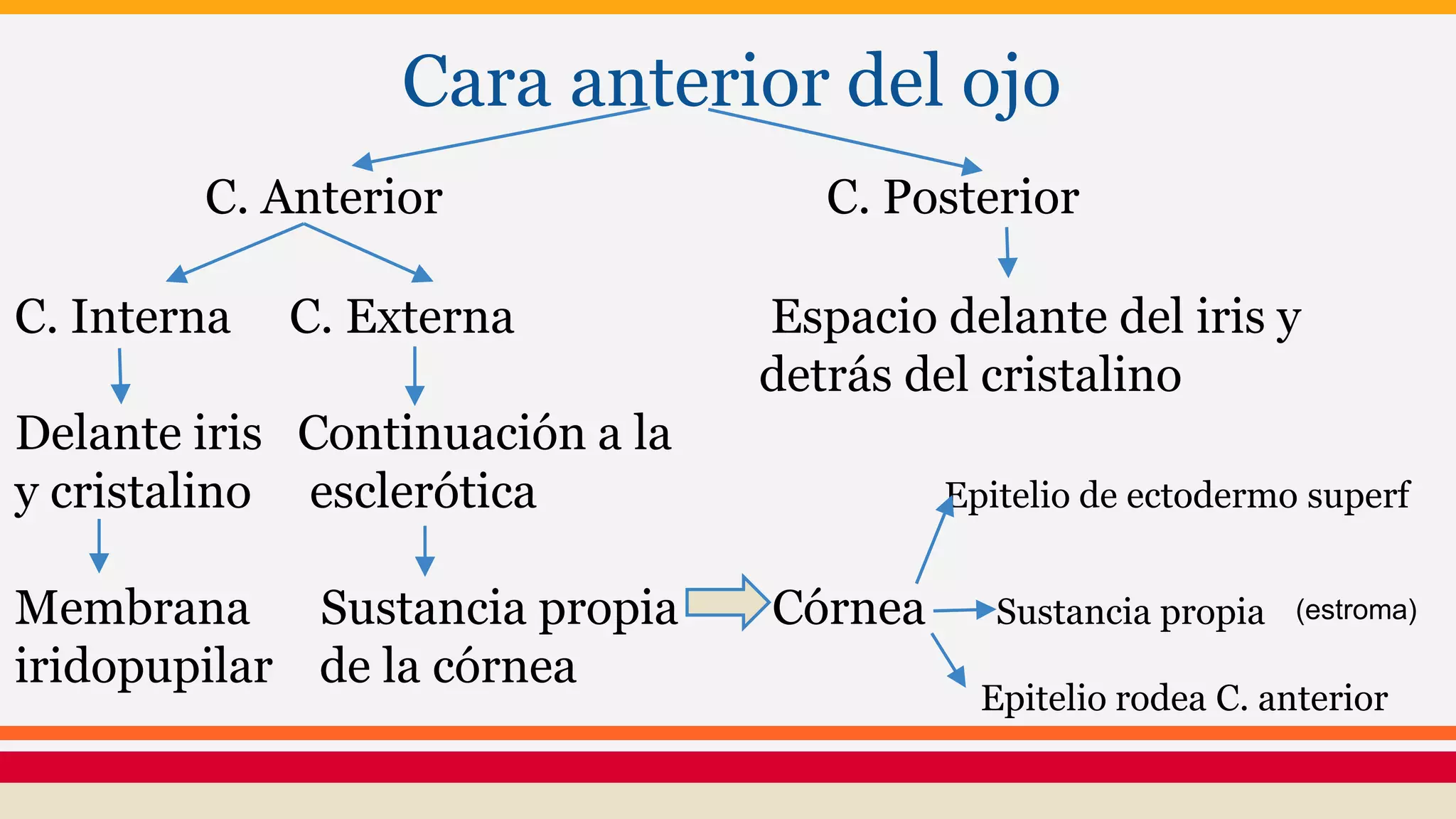 Embriología de ojo | PPTX