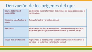 Embriología de ojo | PPTX