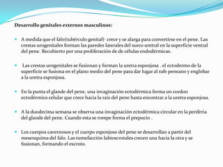 Embriologia aparato reproductor | PPTX