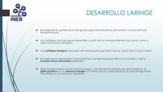 Embriologia sistema respiratorio | PPTX