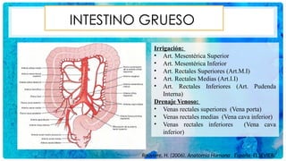 EMBRIOLOGIA Y ANATOMIA DEL SIST DIGESTIVO.- NOTAS1.pptx