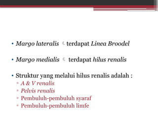 Embriologi dan Anatomi Ginjal Manusia.pptx