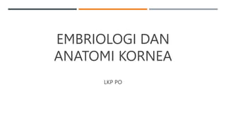 EMBRIOLOGI DAN ANATOMI KORNEA PADA MATA.pptx