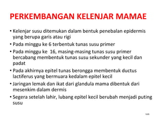 EMBRIOLOGI INTEGUMEN dan SSP (1).pptx