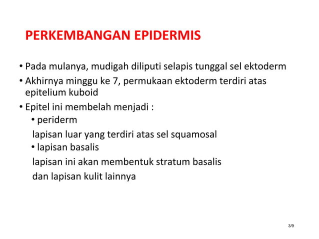 EMBRIOLOGI INTEGUMEN dan SSP (1).pptx