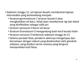 EMBRIOLOGI INTEGUMEN dan SSP (1).pptx