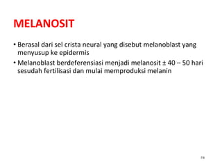 EMBRIOLOGI INTEGUMEN dan SSP (1).pptx