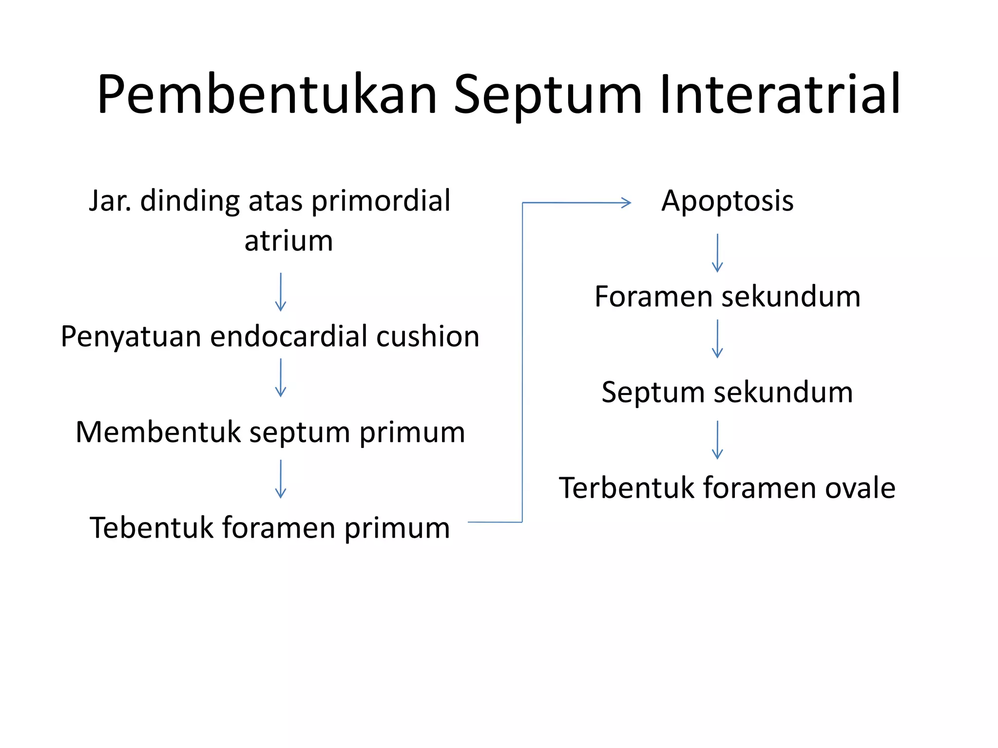 Embriologi jantung (1) | PPTX