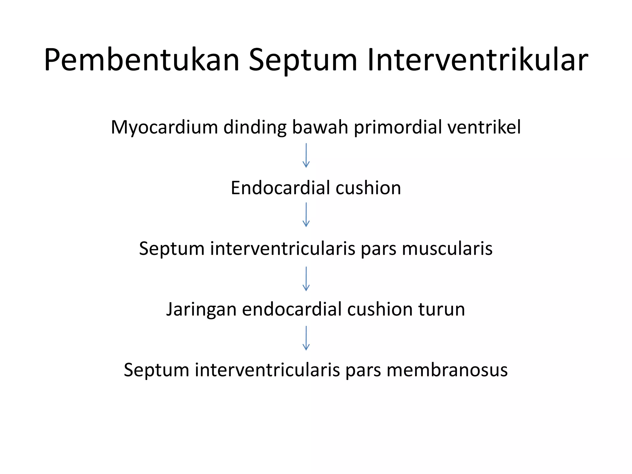 Embriologi jantung (1) | PPTX