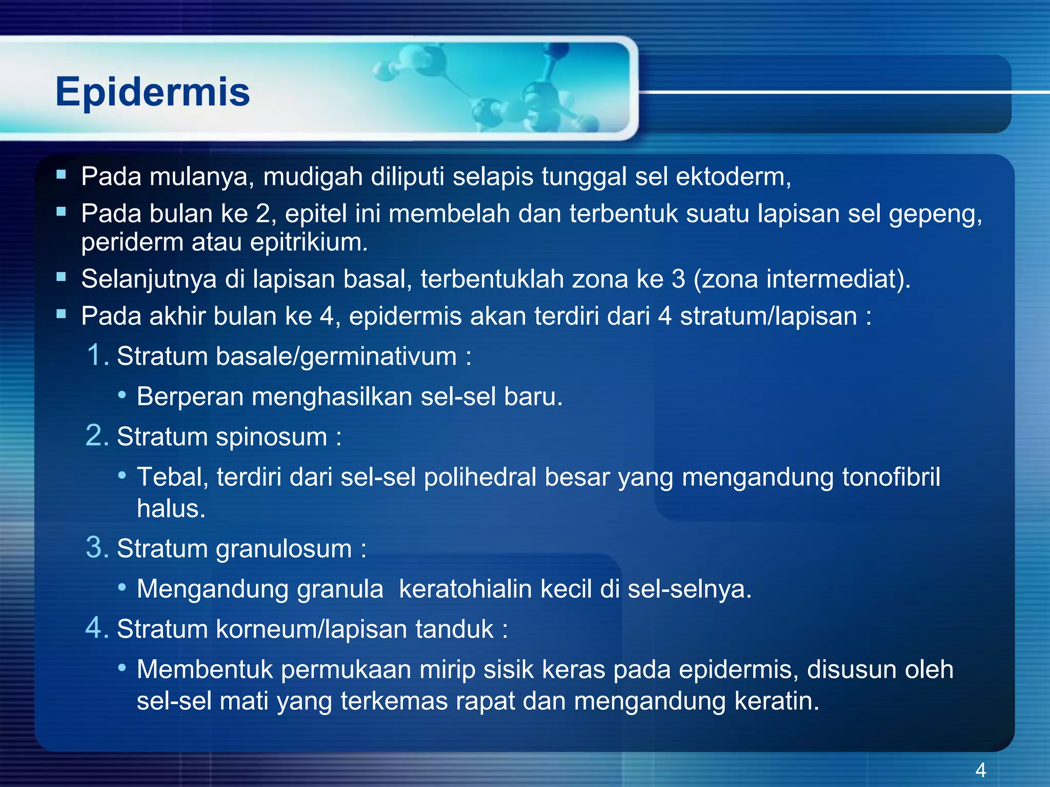 Embriologi sistem integumen | PPTX