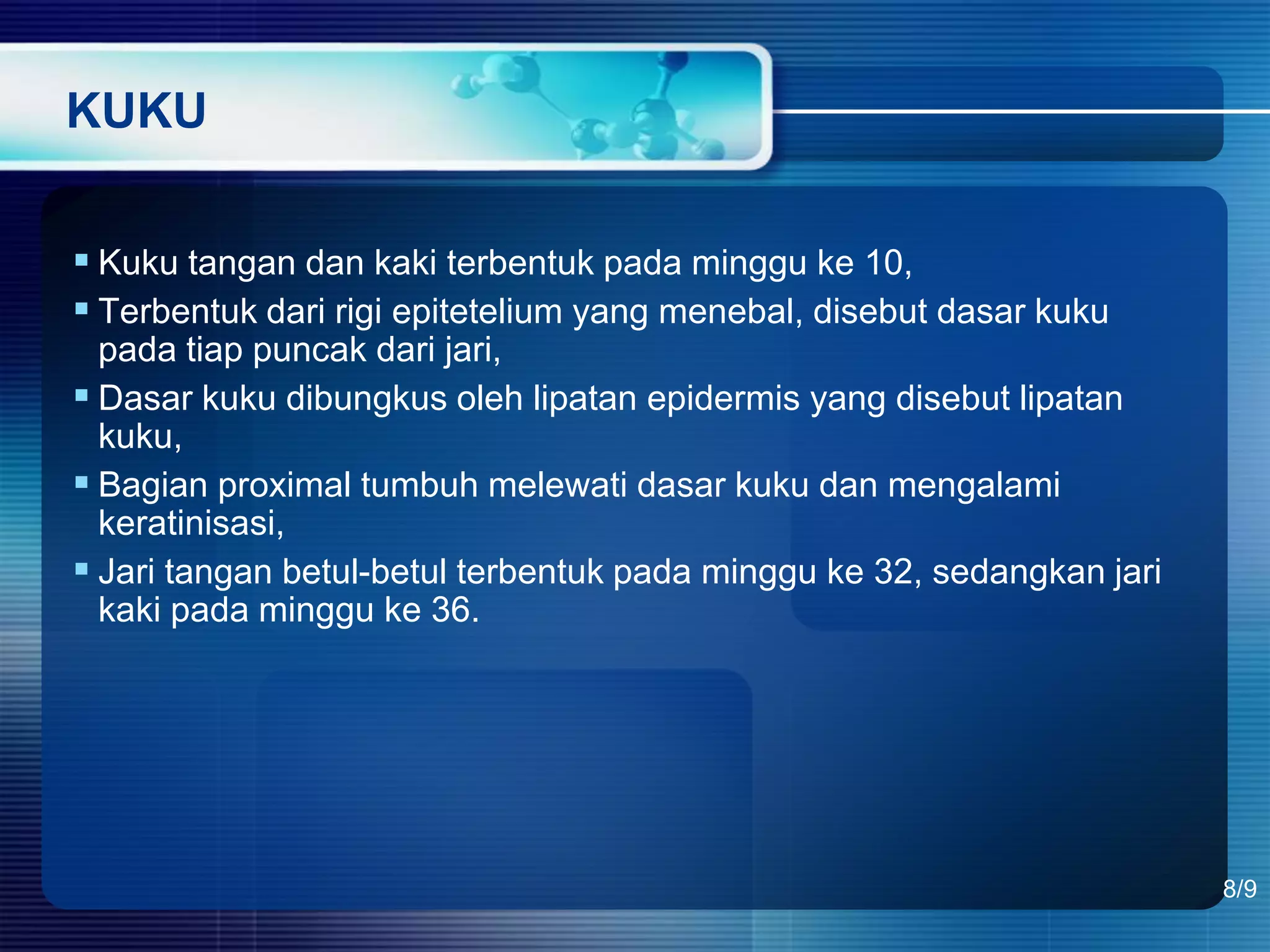 Embriologi sistem integumen | PPTX