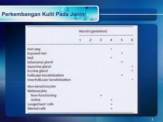 Embriologi sistem integumen | PPTX