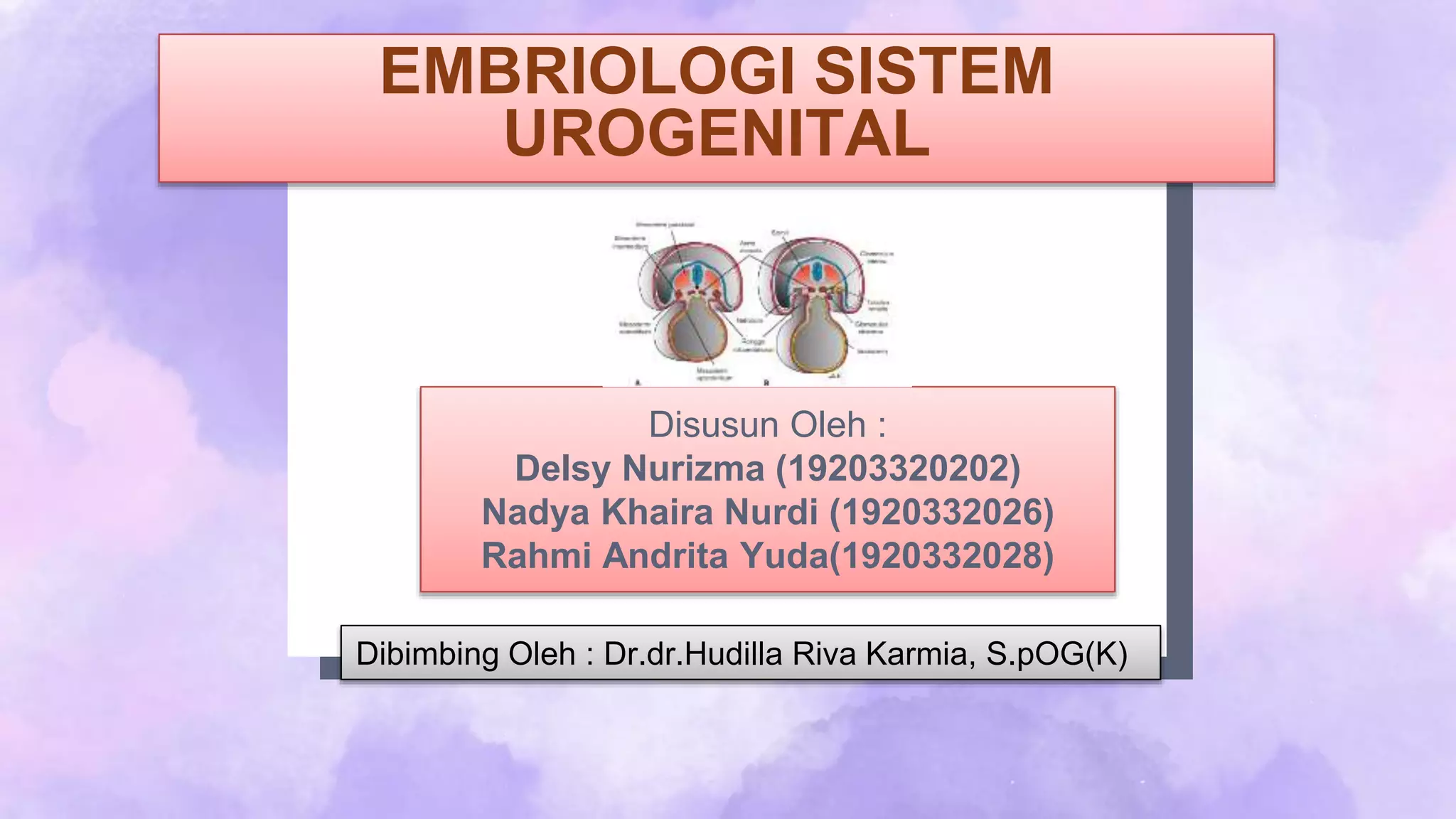 embriologi sistem urogenital.pptx
