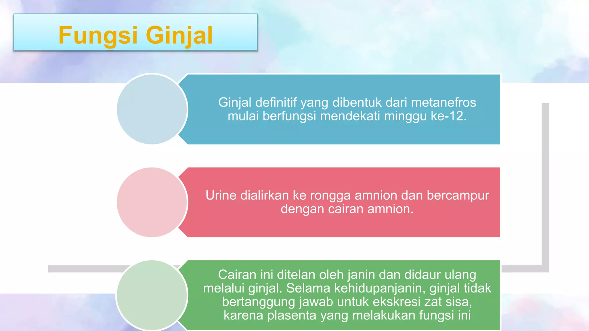 embriologi sistem urogenital.pptx