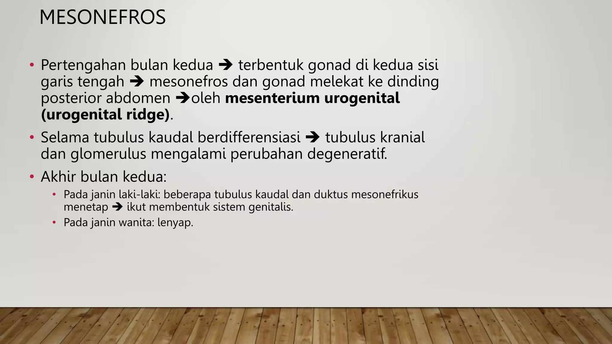 Embriologi system UROREPRO.ppt