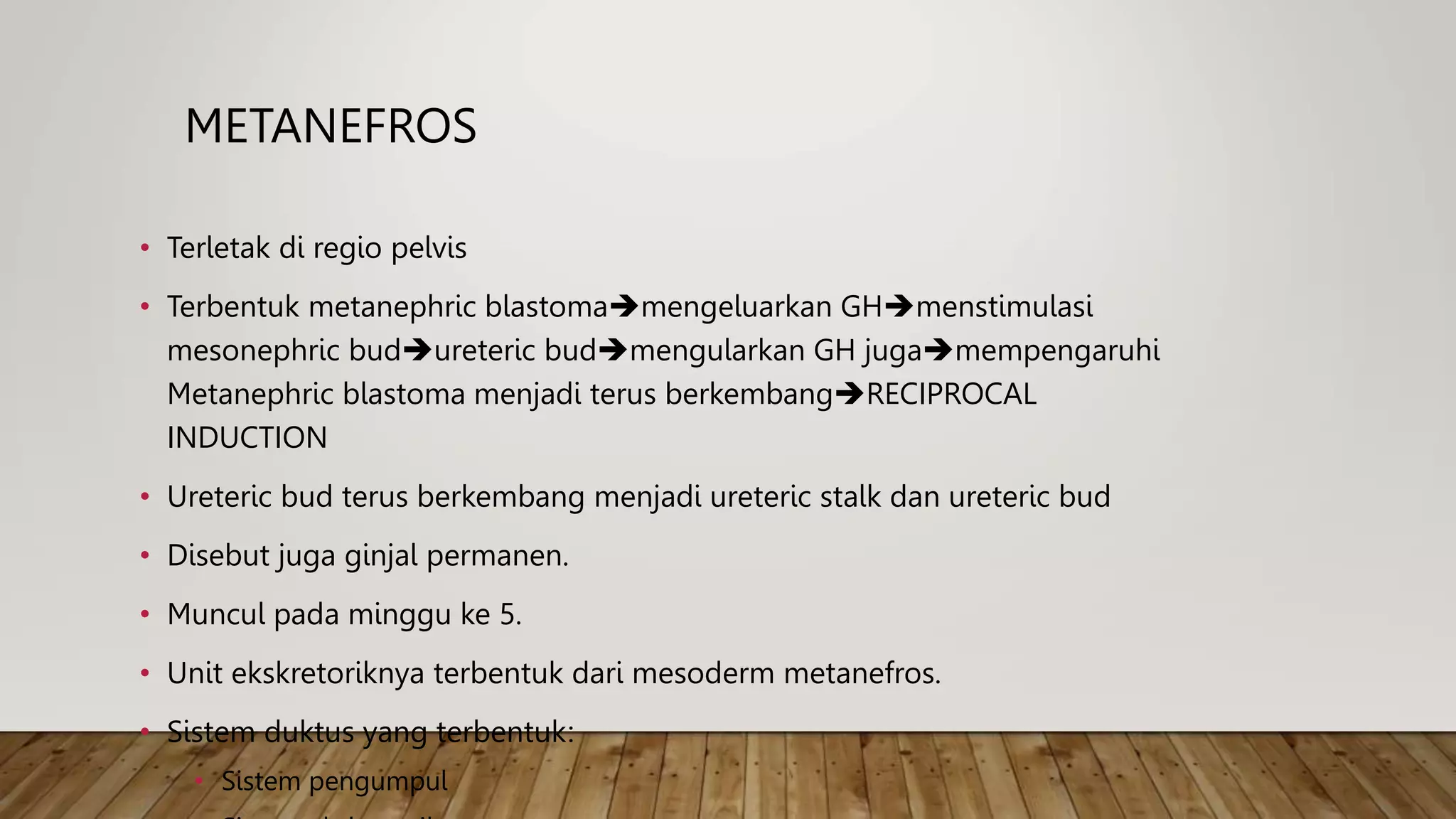 Embriologi system UROREPRO.ppt