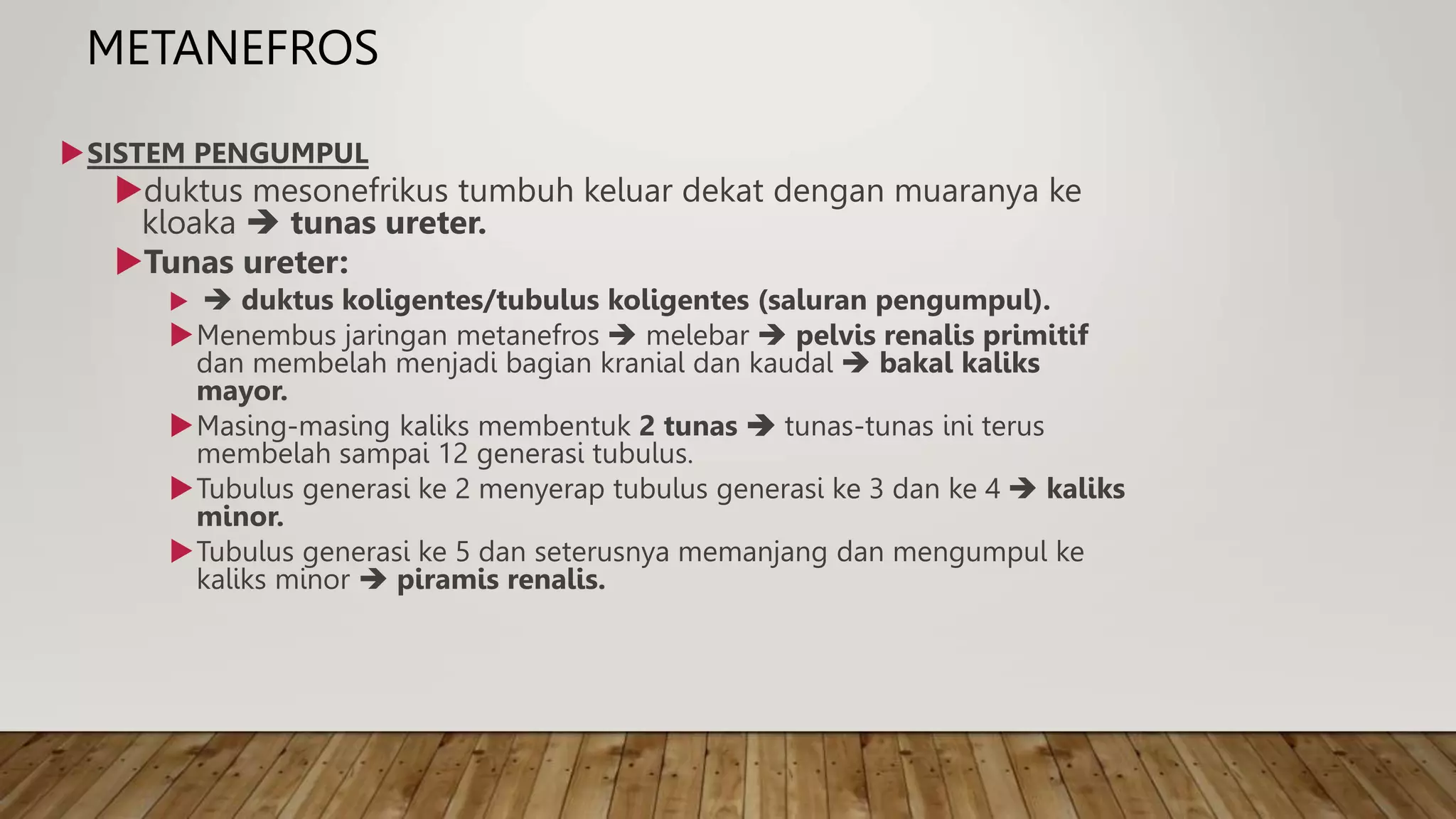 Embriologi system UROREPRO.ppt