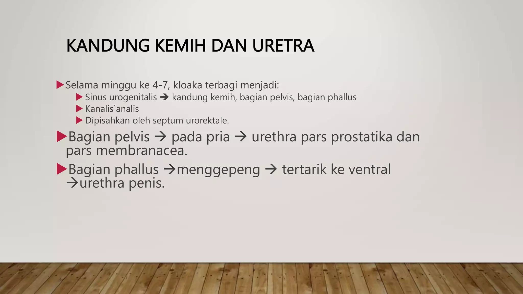 Embriologi system UROREPRO.ppt