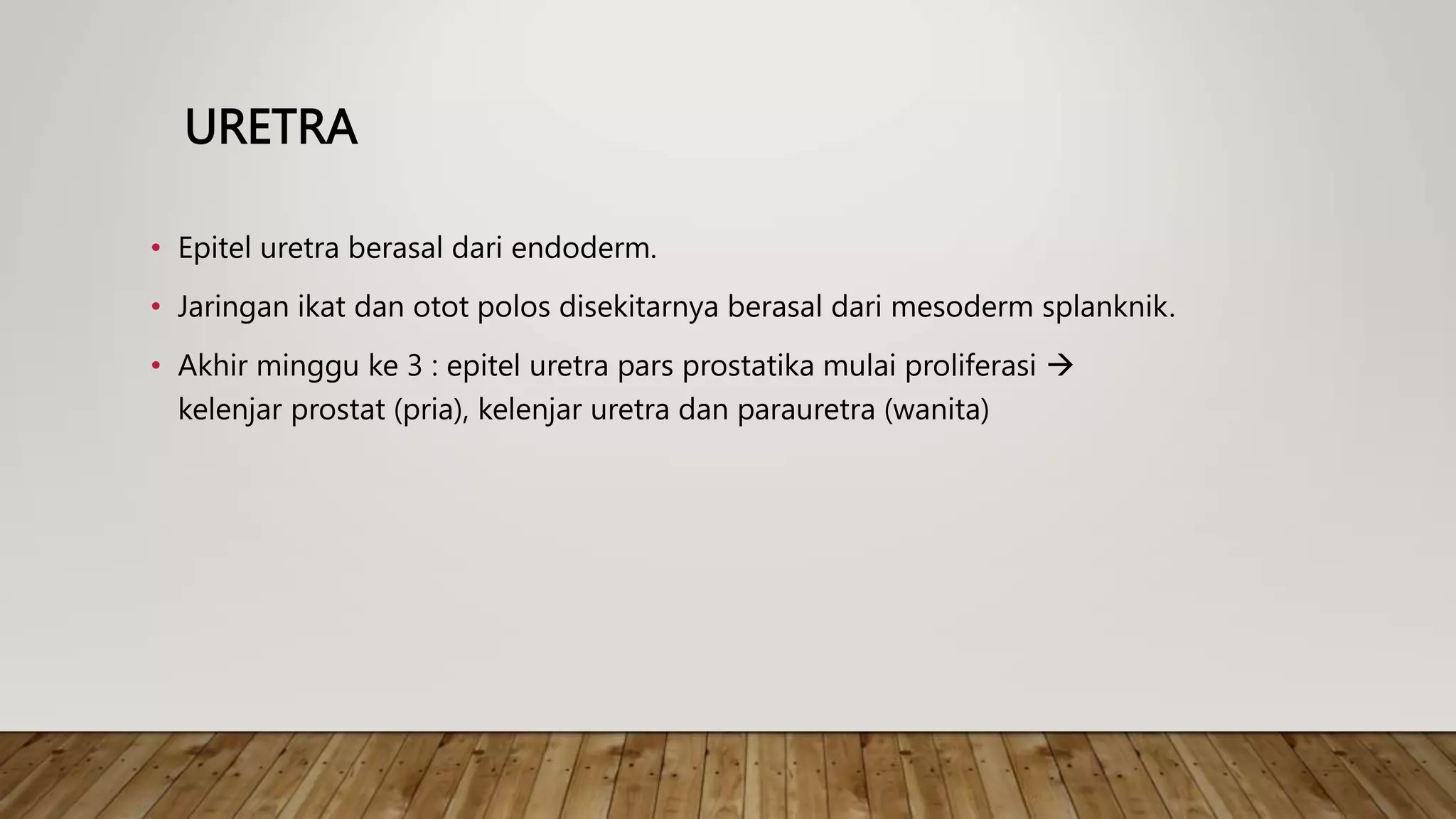 Embriologi system UROREPRO.ppt