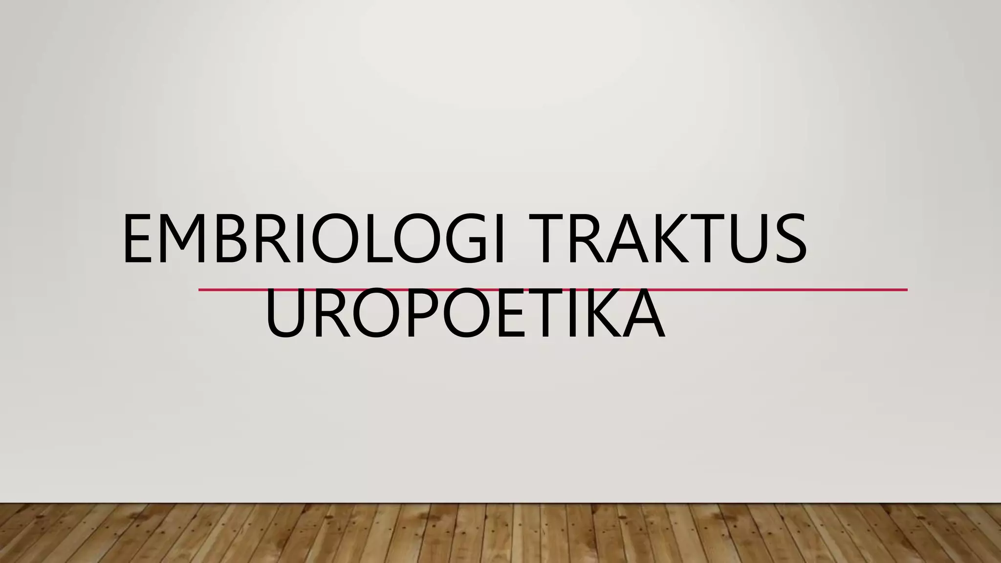 Embriologi system UROREPRO.ppt