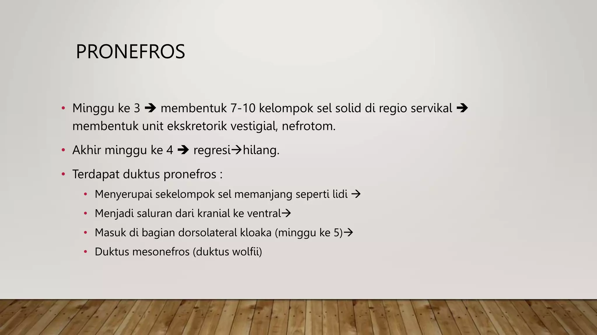Embriologi system UROREPRO.ppt