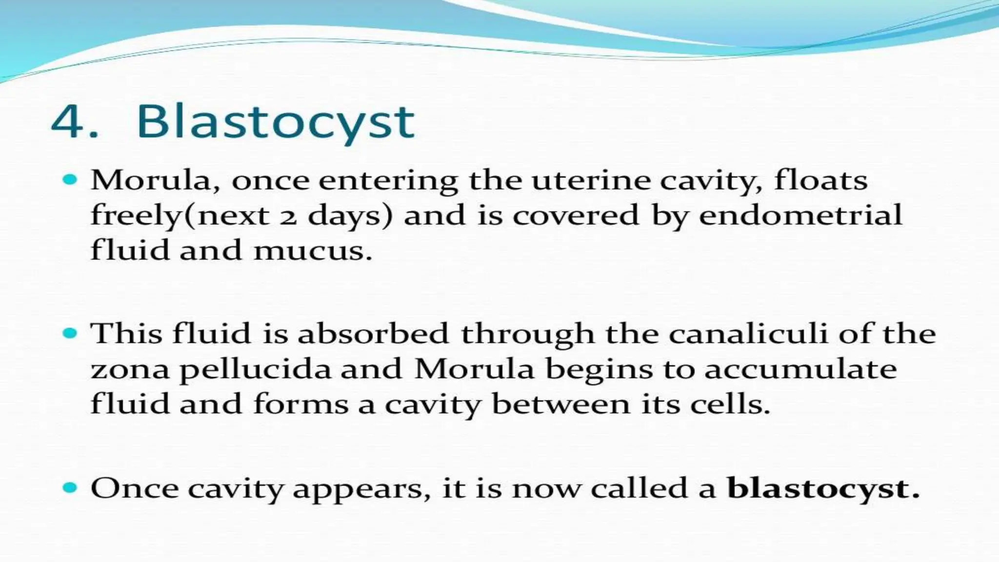 Embriology & development embryo cell process | PPT