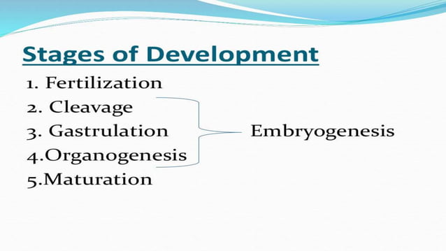 Embriology & development embryo cell process | PPT